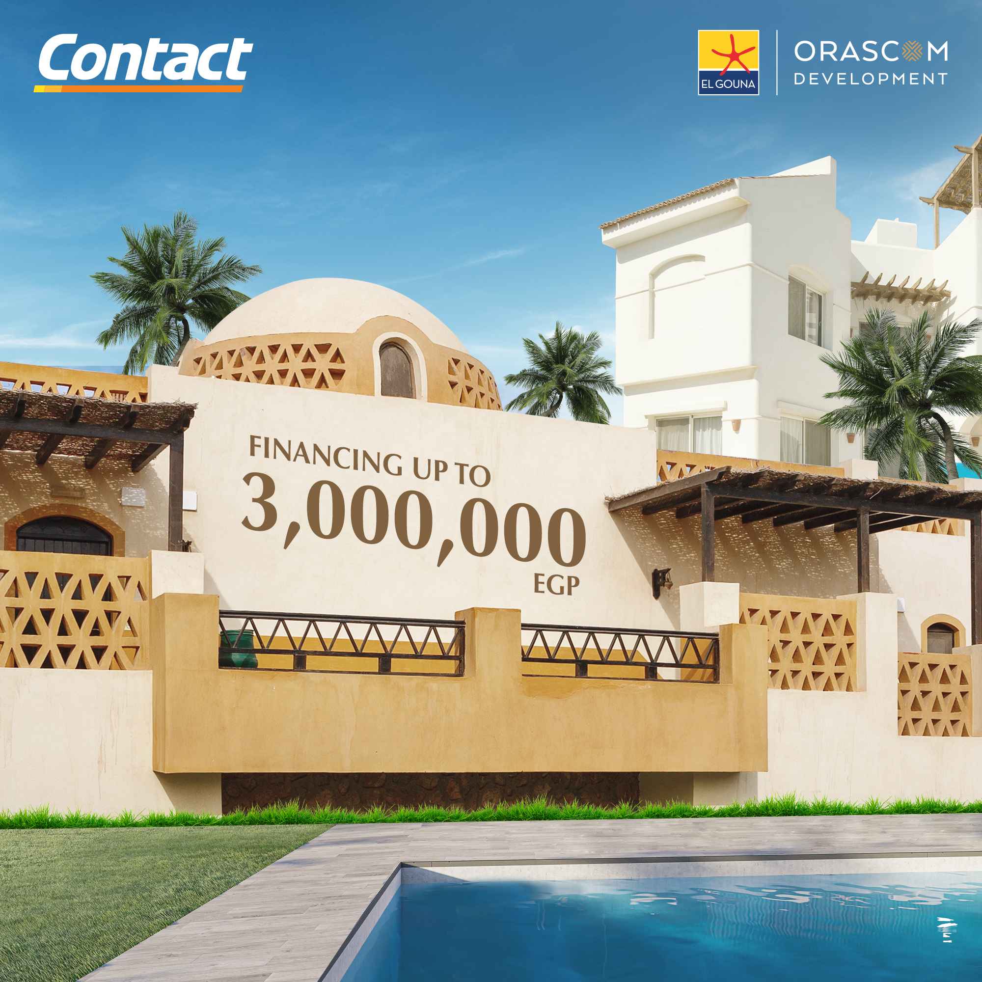 newsletter - CONTACT